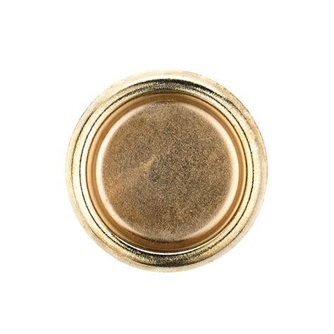 Eclectic Expression Iv Collection 1 Diameter Recessed Pull In Brass By Richelieu Hardware