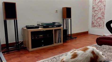 Subwoofer Line Level Input Hi Fi Corner Naim Audio Community