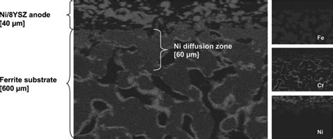 Edx Map Of An Interface Cross Section Substrateanode Of A