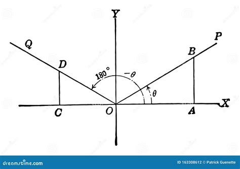 Coordinate Axis On The Graph Paper Vector Illustration Cartoondealer