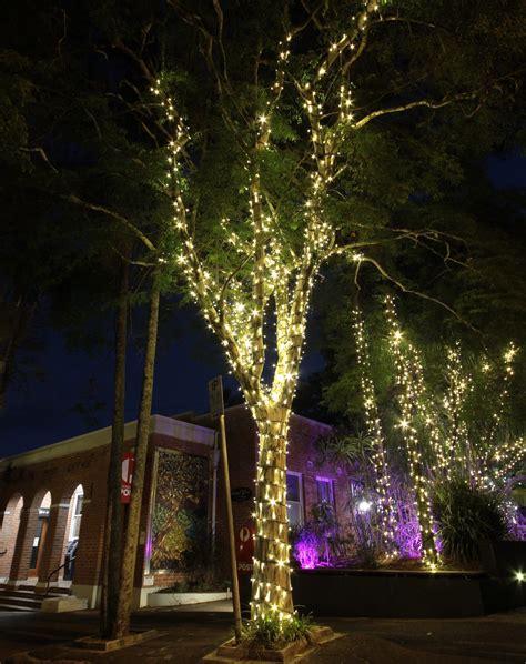 Medium Tree Kit V Low Voltage Led Fairy Lights Buy Online