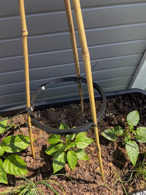 Scalable Plant Support Trellis By Wayne Download Free Stl Model