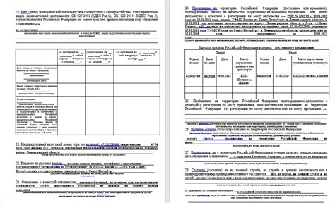 Пример заполнение гражданство