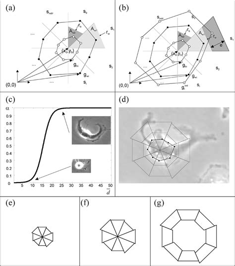 Illustrations Of The Mean Shift Models Used Models With A Two Nested
