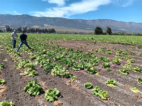 Services — Nipomo Native Seed