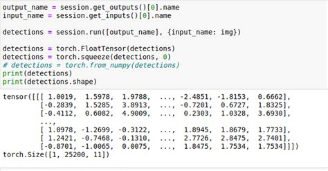Onnxruntime N Return Negative Number · Issue 3538 · Onnxonnx · Github