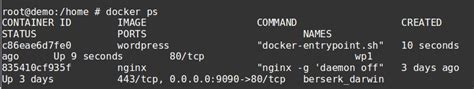Connect To Docker Container To Manage The Application