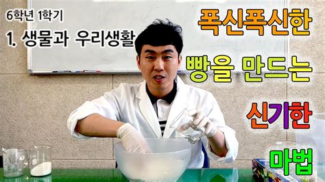 초등과학 실험 인강 6학년 2학기 1단원 1차시 폭신폭신한 빵을 만드는 신기한 마법 Youtube