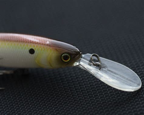 Ibassin The Jackall Dd Squirrel 79sp