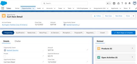 How To Enable Activity Timeline In Salesforce Salesforce Faqs
