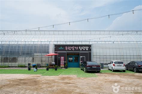 사과깡패 경기도 포천시 가볼만한곳 관광지랭킹 사과깡패 경기도 포천시 가볼만한곳 관광지랭킹