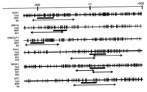 Cancer Screening Method Eureka Patsnap