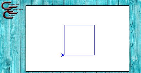 how can loops manipulate python turtle s graphics functions computer corner