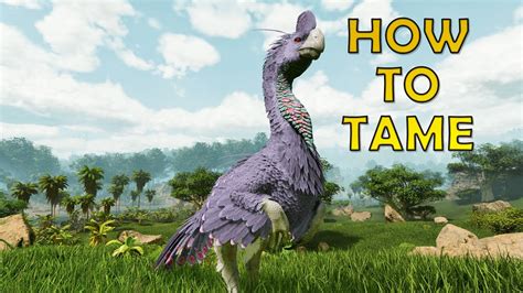 How To Tame Gigantoraptor In Ark Survival Ascended The Island The Center Youtube