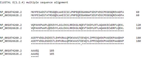 Solved Hi This Is My Multiple Sequence Allignment