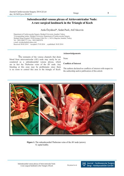 Pdf Subendocardial Venous Plexus Of Atrioventricular Node A Rare