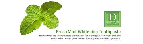 Amazon.com : Rembrandt Deeply White + Peroxide Whitening Toothpaste ...