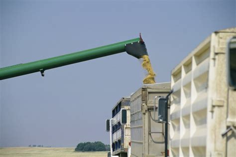 Grain Being Loaded Into Trucks Free Photo Download Freeimages