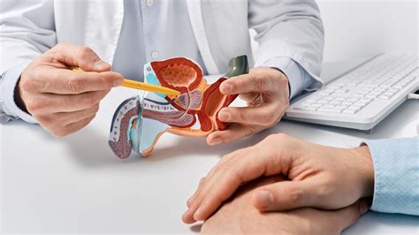 Kanker Prostat Gejala Penyebab Diagnosis Pengobatan Dan Tips