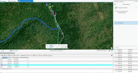 Editing Why Does Modify Vertices Seem To Fail For No Reason In ArcGIS Pro Geographic