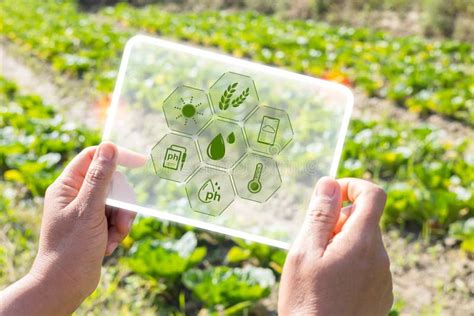Agriculture Technology Farmer Woman Analysis Data Vegetable Plant