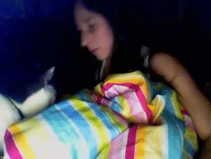 Cat Ned Gif WiffleGif