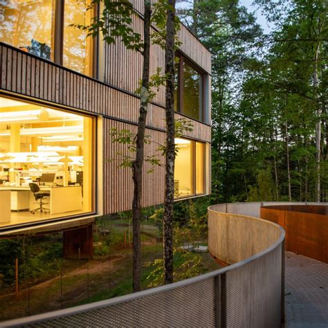 The Dezeen Guide To Wood In Architecture Interiors And Design