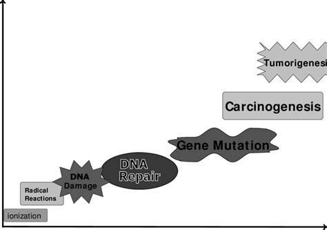 Schematic Explanation Of The Spatiotemporal Relationship Of The