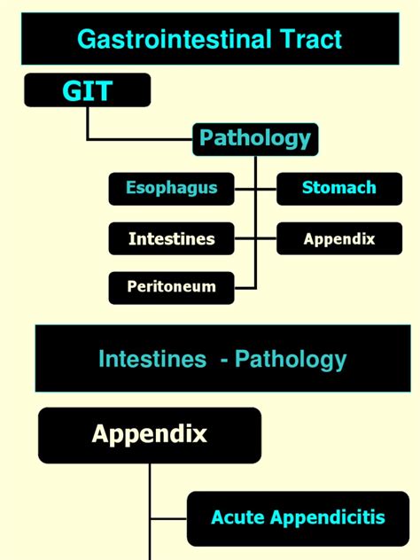 Pdf Appendix And Peritoneum Dokumentips