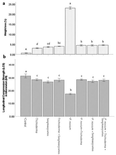 Testing The Biocontrol Ability Of A Trichoderma Streptomycetes Consortium Against Pyrrhoderma
