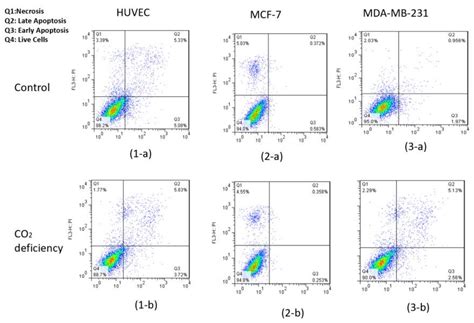 The Impact Of Microelectrode Pattern On The Sensitivity Of Tracing