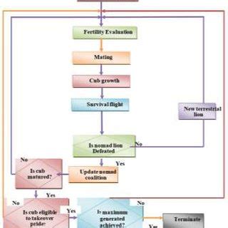 Proposed Bert Framework Download Scientific Diagram