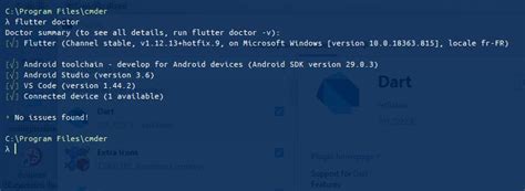 IntelliJ Flutter Plugin Is Not Detected By Flutter Doctor Issue Flutter