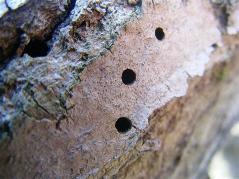 Natural Holes By Tomorrowphotographer On Deviantart