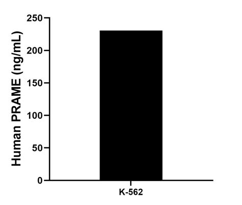 Prame Antibody 68097 2 Pbs Proteintech