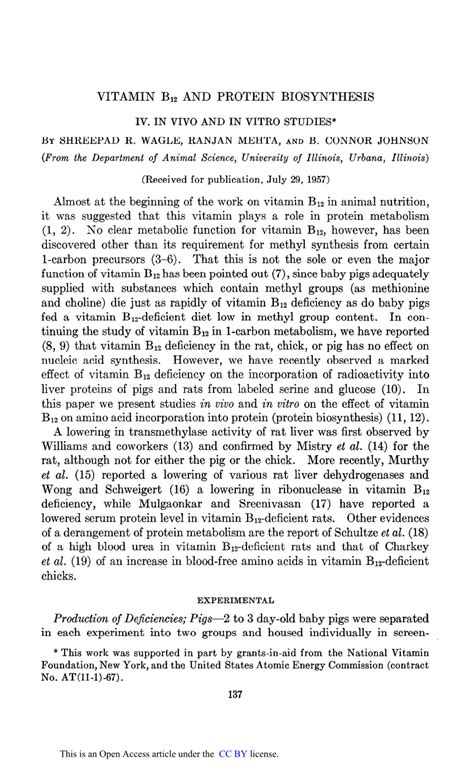 Pdf Vitamin B12 And Protein Biosynthesis