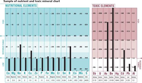 Hair Tissue Mineral Analysis Htma Nurturer