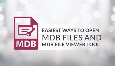 EASIEST WAYS TO OPEN MDB FILES AND MDB FILE VIEWER TOOL Mizzlemag