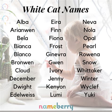 White Cat Names Artofit