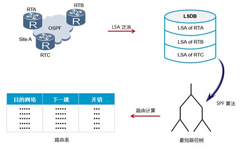 hcia rands 学习 day04（链路状态协议ospf and ppp） csdn博客
