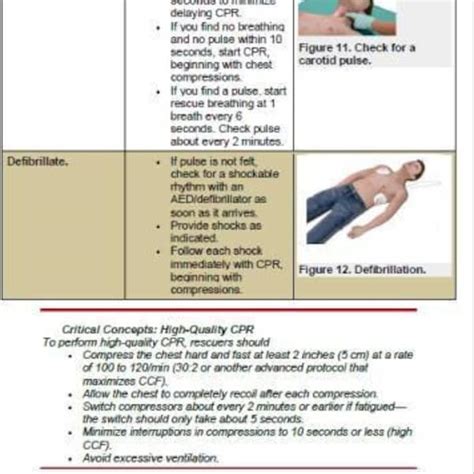 E Book Bls Provider Manual 2020 Newest Edition Please Read Item Description Before Purchasing Etsy