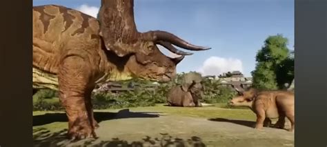 Dinossauros Triceratops