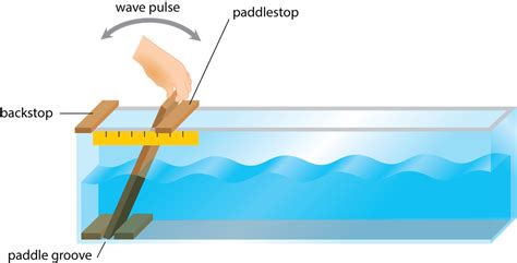 Activity Orbital Motion Of Waves Exploringourfluidearth