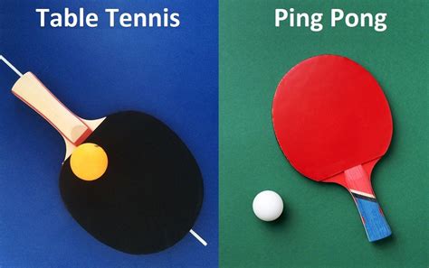 Difference Between Ping Pong And Table Tennis Difference Camp