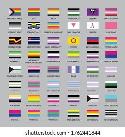 Various Pride Flags Differentation Set 1 Stock Vector Royalty Free 1762441844 Shutterstock