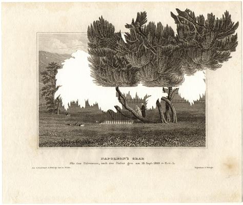 Noa Giniger On Linkedin Unwilling At Cantor Fitzgerald Gallery In Haverford College