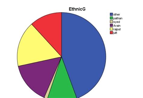 Questionnaire Analysis Spss Services Joey The Explorer