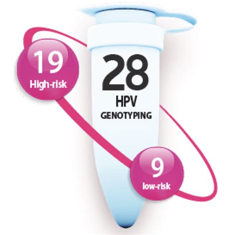 Anyplex™ Ii Hpv28 Detection
