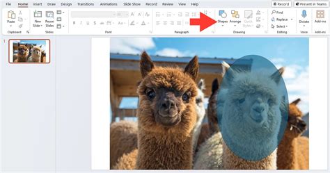 How To Easily Blur Images In PowerPoint MyExcelOnline