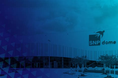 snp group integrating sap with snowflake using snp glue